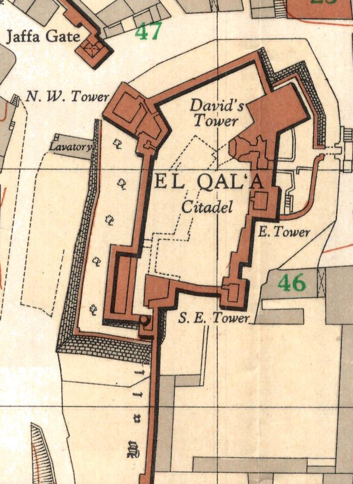 Throne Of David (Judah Bloodline) – Digital Information Publishing